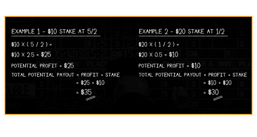 Best Fractional Odds Explained AU - How to Convert Fraction Odds
